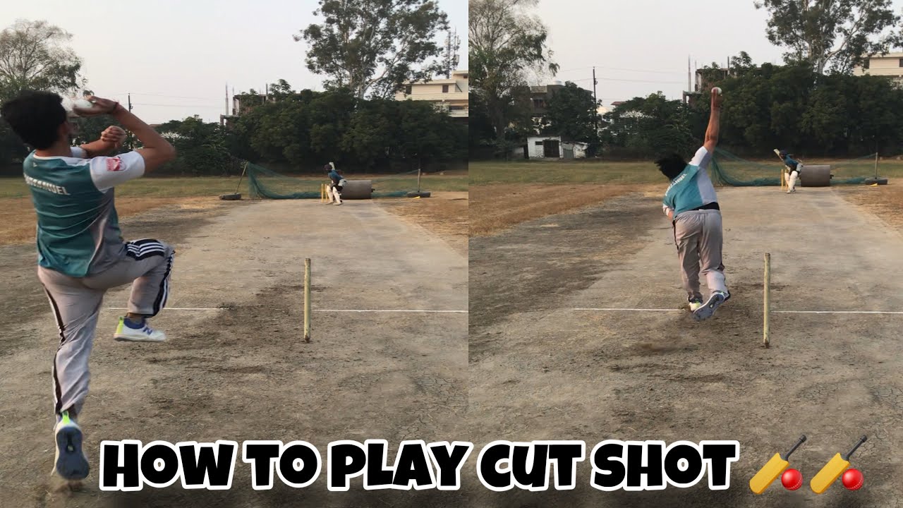 How to practice cut shot || Practice session 🔥🔥 - YouTube