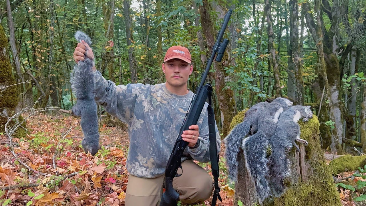 Hunting HUGE Gray Squirrels in Oregon | Catch & Cook | SHOTKAM Footage ...