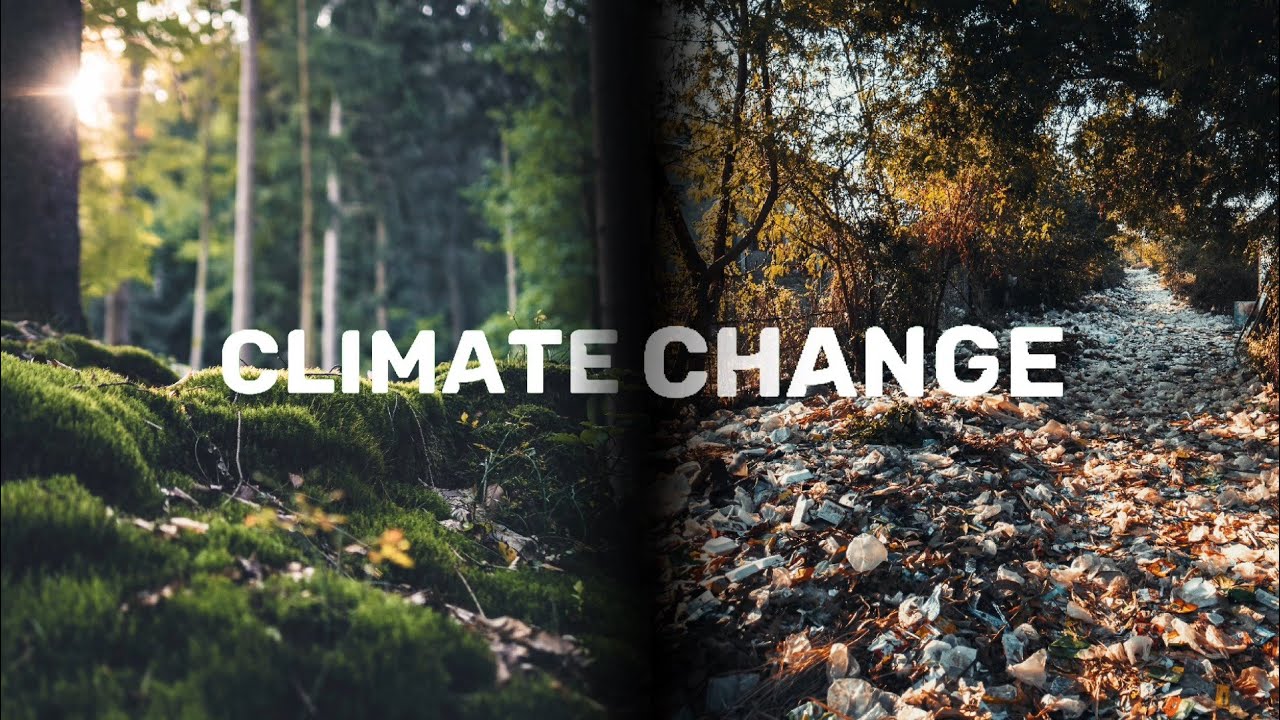 Climate Change - A Short Film [4K] #shortflim #climatechange @cinematic ...