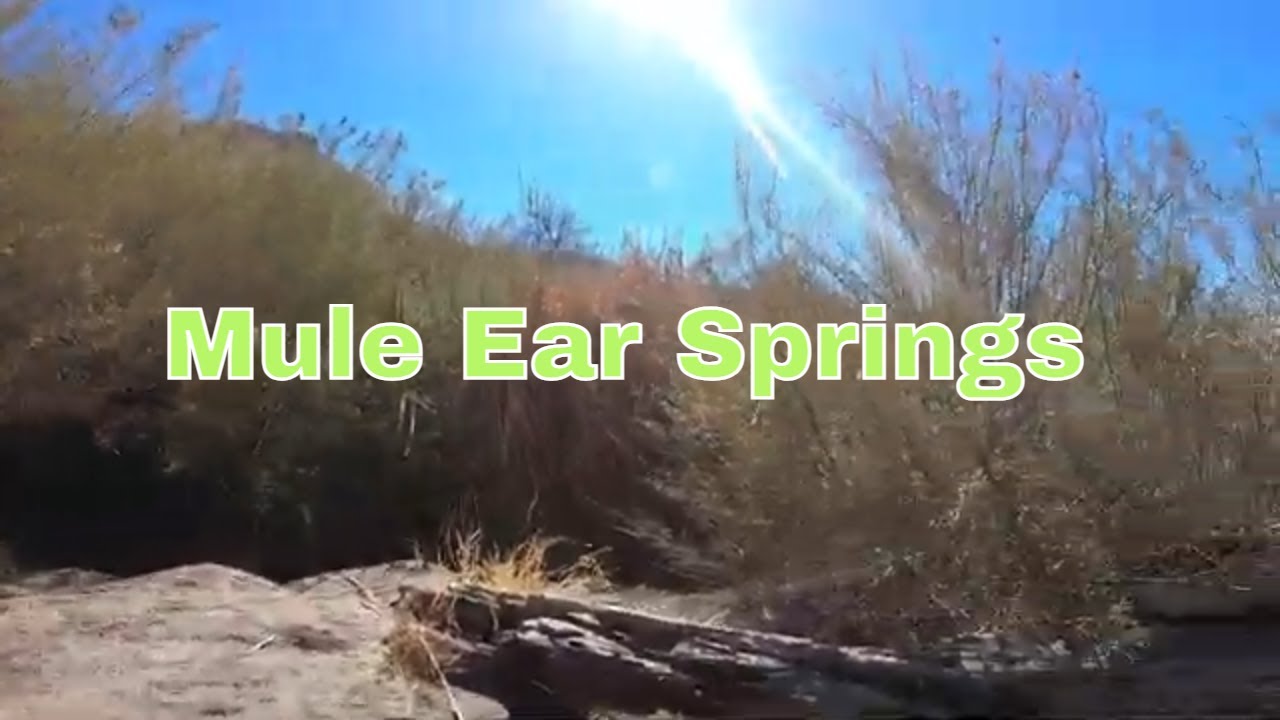 Hiking Mule Ear Springs in Big Bend National Park - YouTube