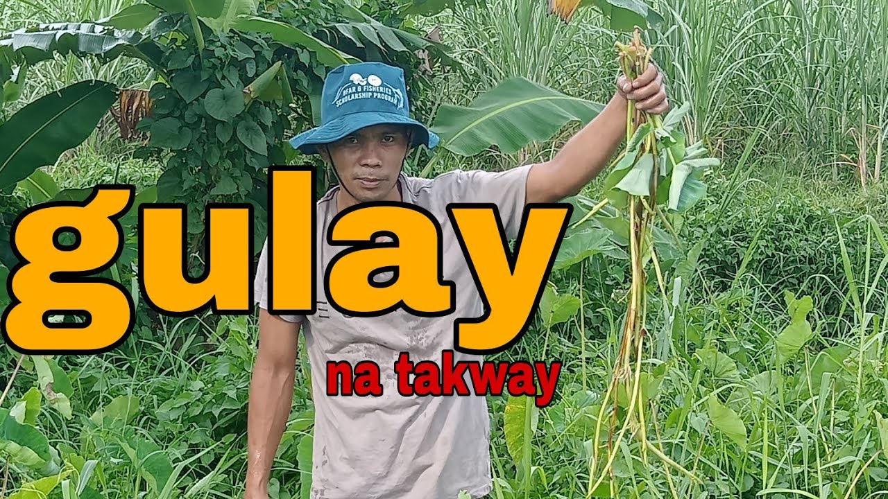 kukuha Tayo Ng takway gulayin natin #buhayprobinsya #buhaybukid #agri ...