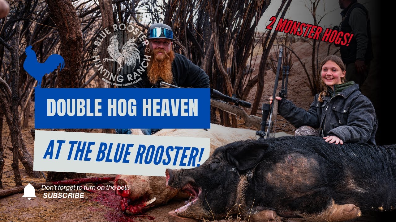 DOUBLE HOG HEAVEN! 2 Monster Hogs at The Blue Rooster Ranch. - YouTube
