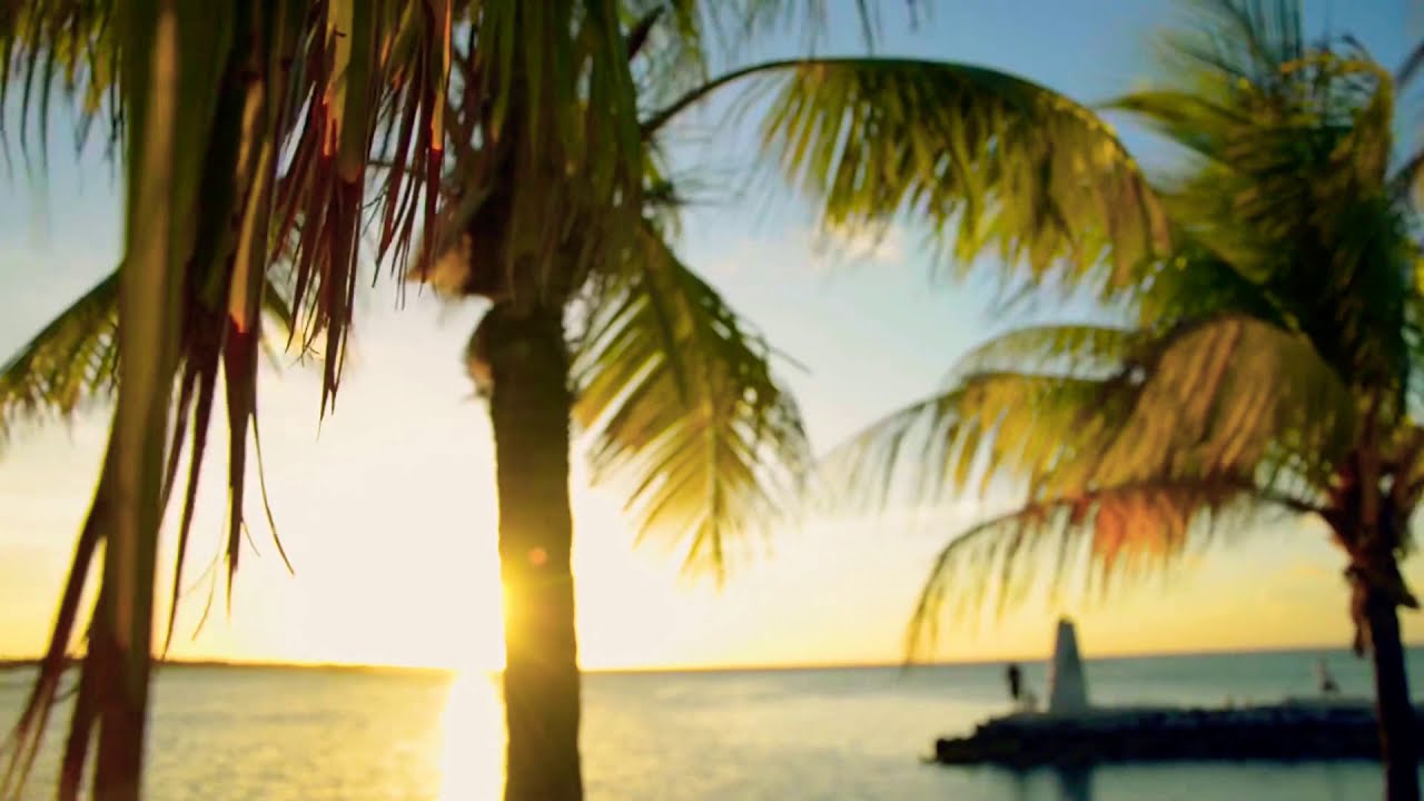 Beautiful summer throwback - YouTube