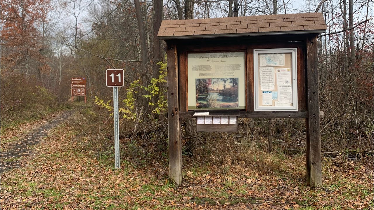 Visiting the Great Swamp in NJ! - YouTube