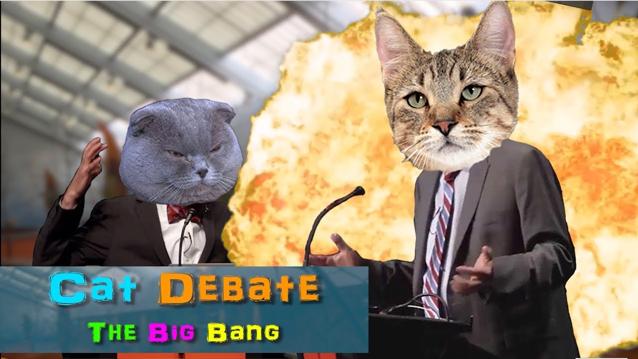Cat Debate- The Big Bang! - YouTube