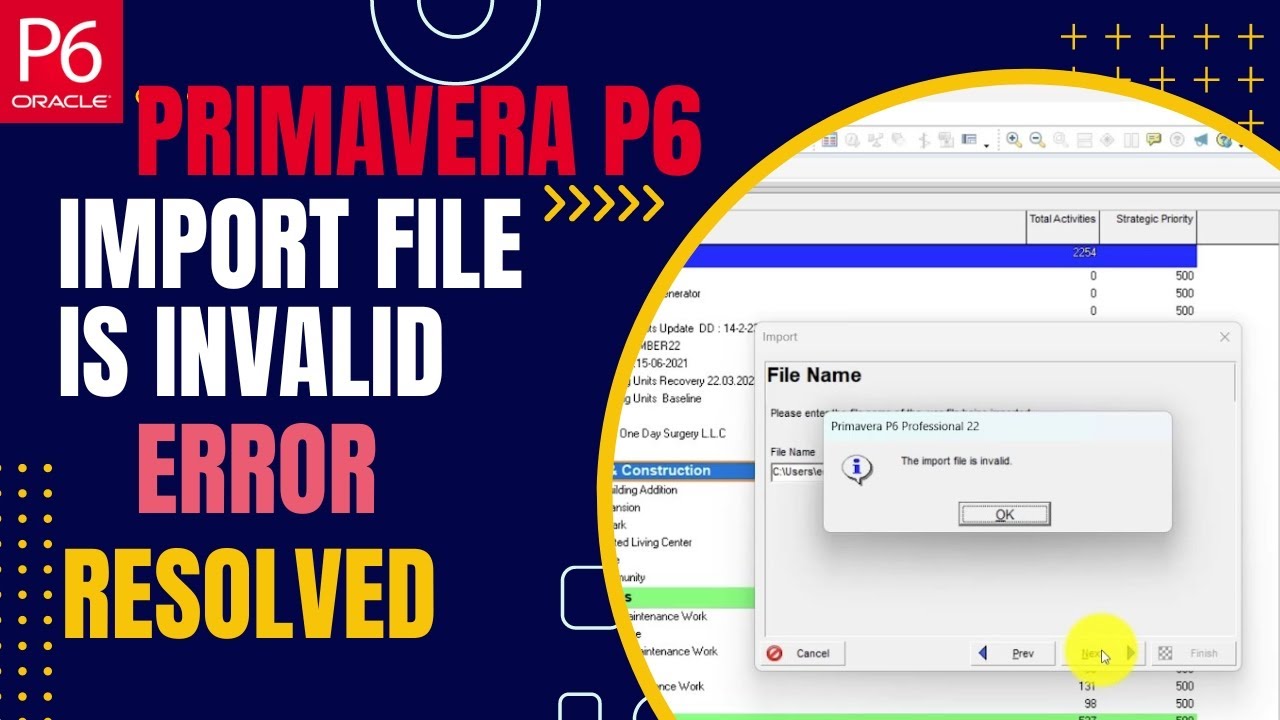 Primavera P6 The Import File Is Invalid P6 Error Import Corrupted XER