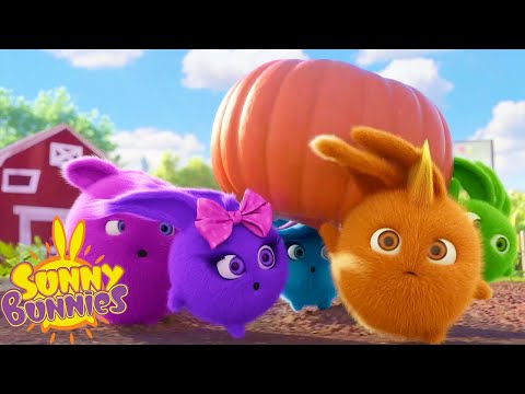 SUNNY BUNNIES - Giant Pumpkin | Season 7 | Cartoons for Kids