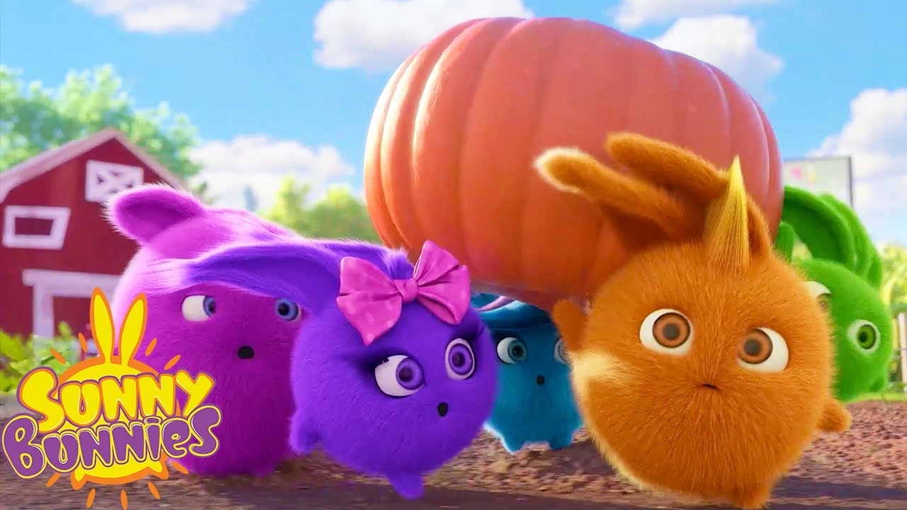SUNNY BUNNIES - Giant Pumpkin | Season 7 | Cartoons for Kids - YouTube