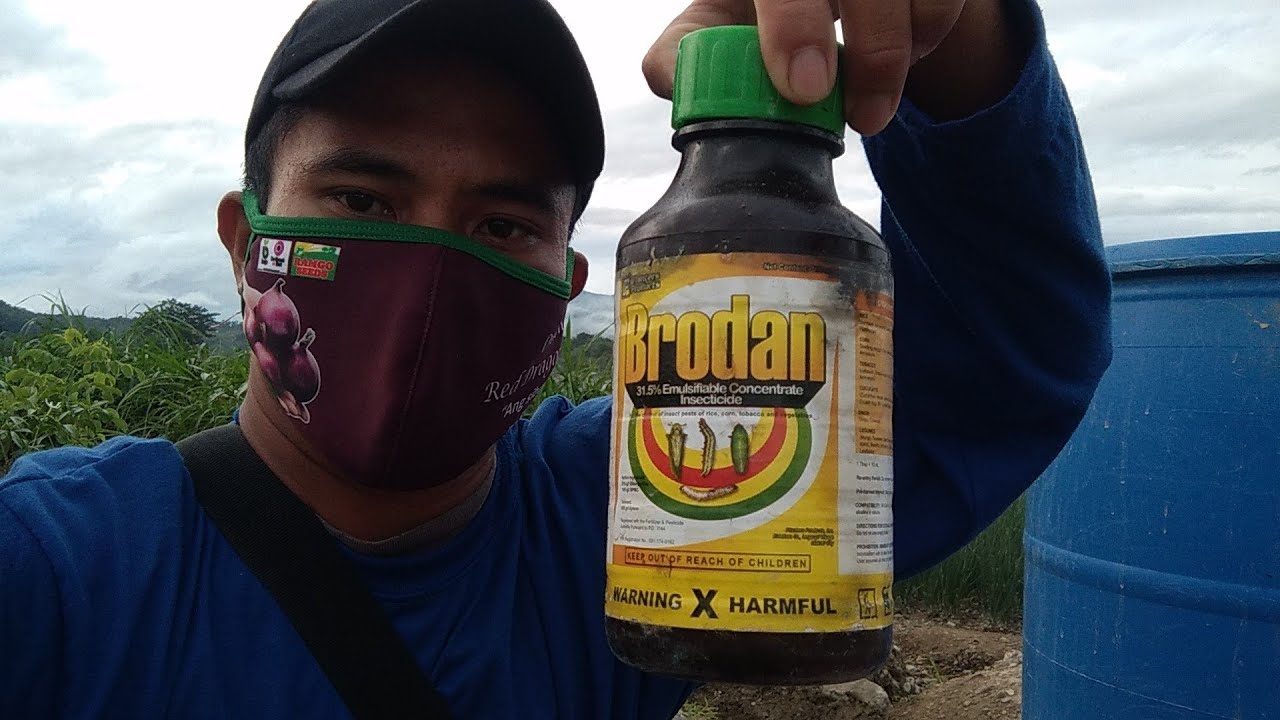 Mag apply brodan insecticide - YouTube
