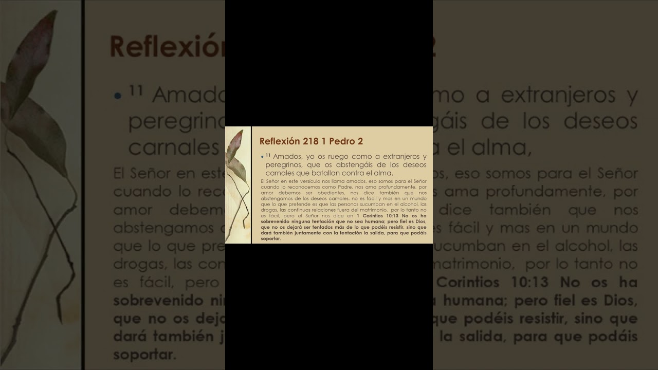 1 Pedro 2 11 YouTube 1 Pedro 2 11 YouTube