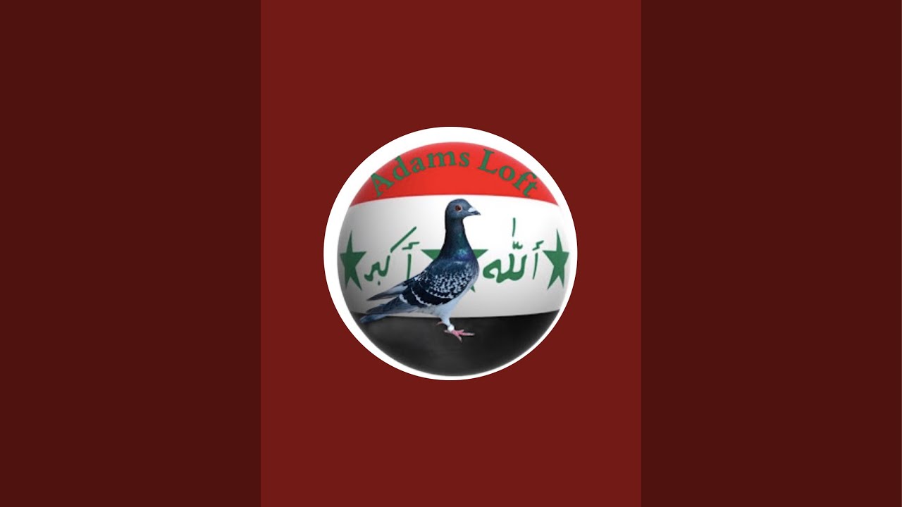 Adam’s Loft is live! - YouTube