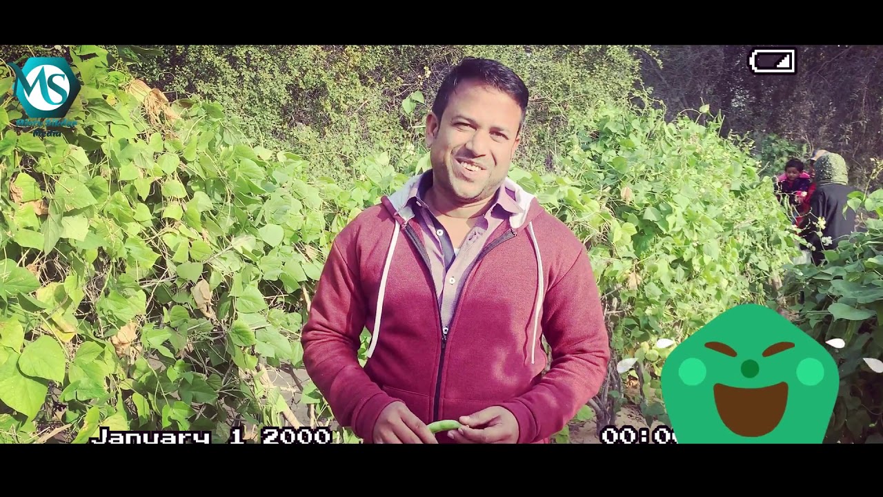 Funny short clips - YouTube