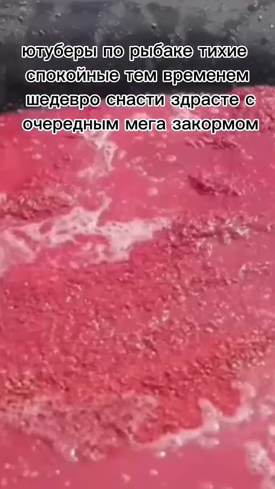 снасти здрасти с мега закормом 2.5 тонн #карп #carpfishing - YouTube