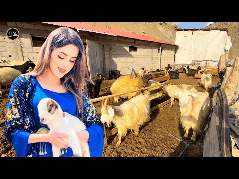 Arin - Dilo Ez Bimrim 💐 Yeni Kürtçe Şarkı Slov 