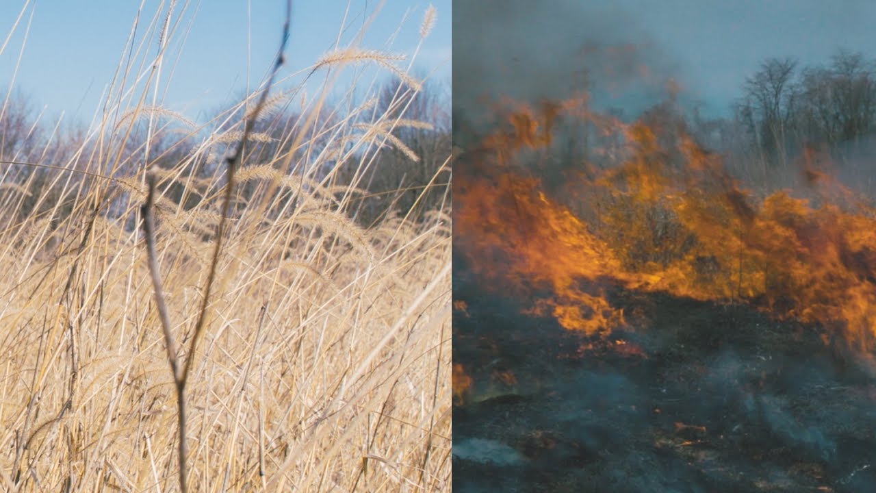 Prescribed Fire On An Illinois Prairie - YouTube