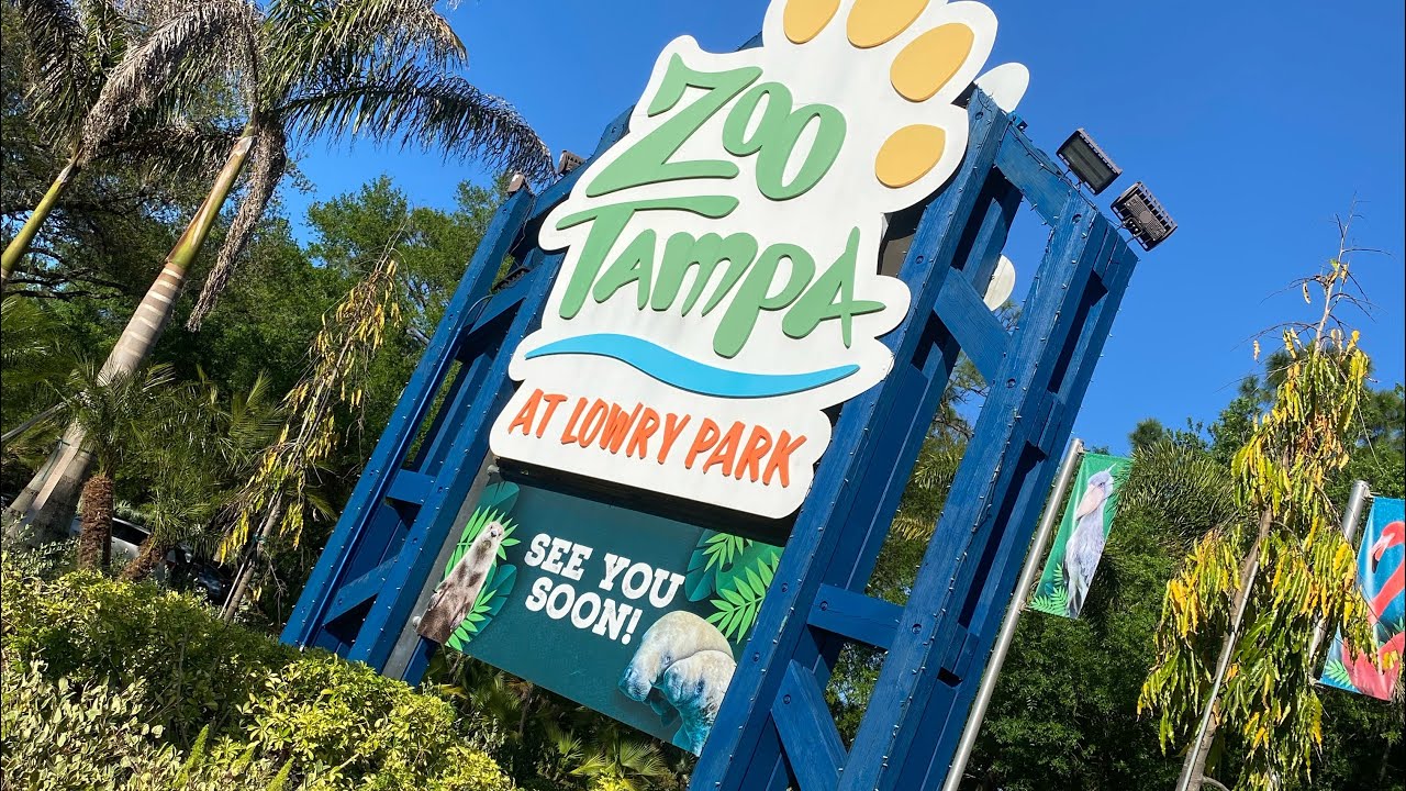 Our First Adventure in Florida!! - YouTube