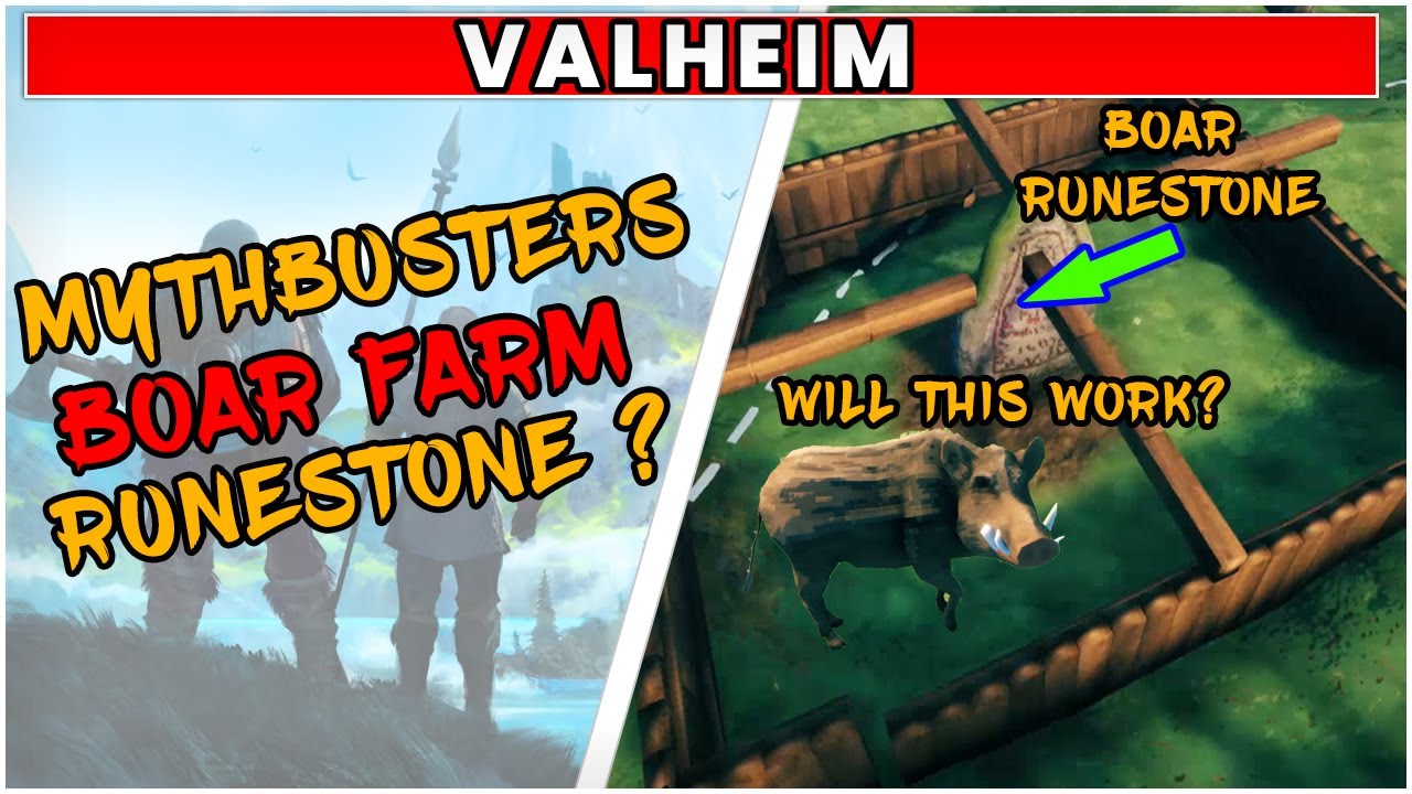 ValHeim Boar Runestone Farm Possible? - YouTube