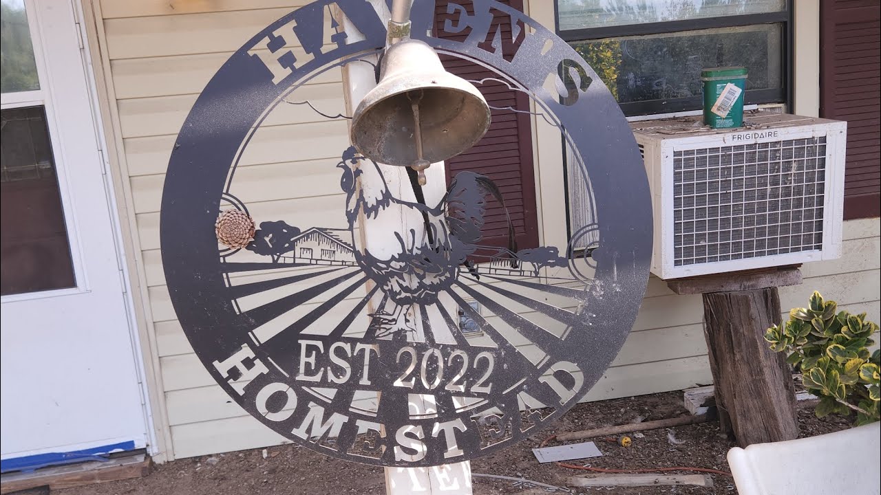 Mice Vs Chickens - YouTube