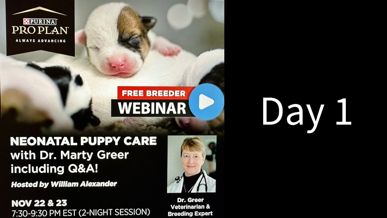 Neonatal Puppy Care with Dr. Greer - Part 1 - Presented by Pro Plan ...