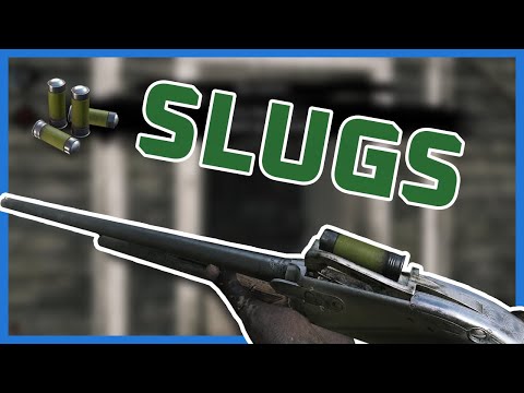 My Slug Business is Booming - YouTube