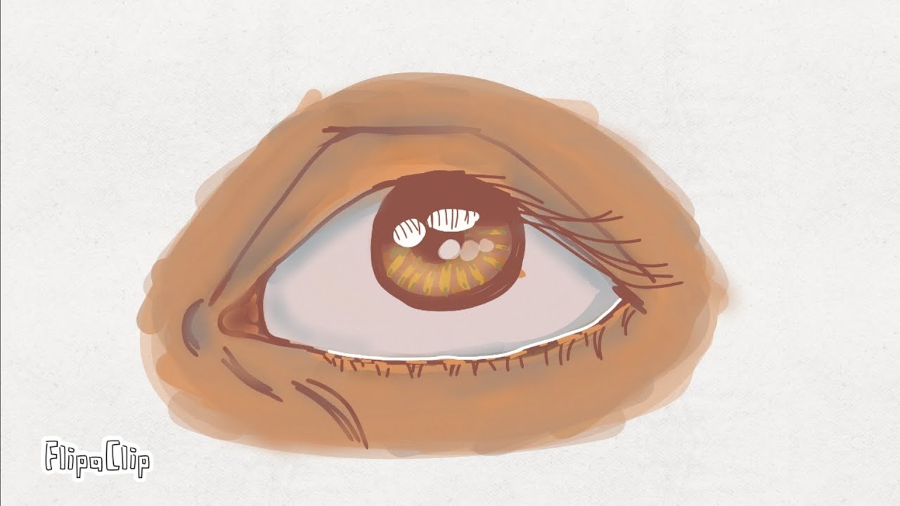 3D Eye blink animation with flipaclip - YouTube