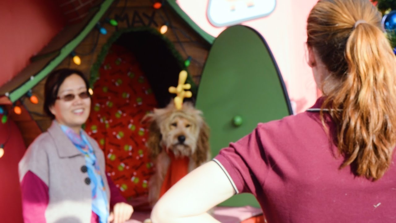 Meet the Grinch's Dog, Max at Grinchmas 2016, Universal Studios ...