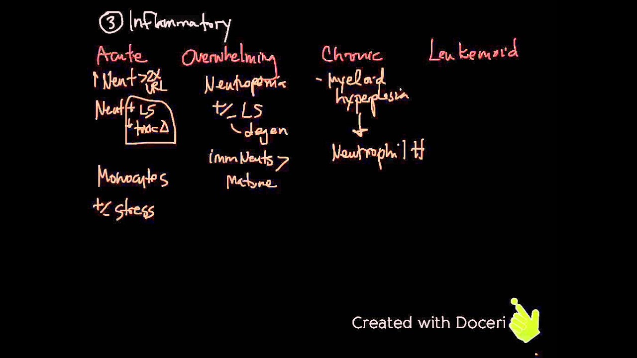 leukogram types - YouTube