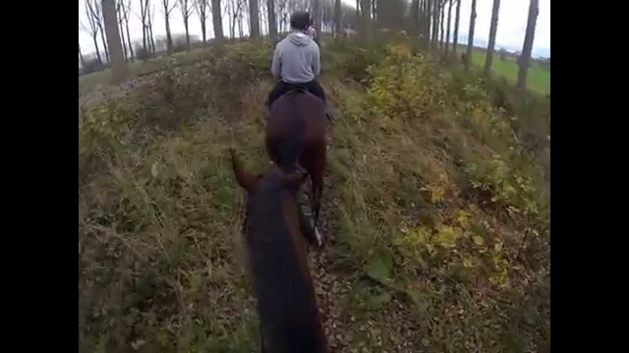 Wandeling Stal damiro - YouTube