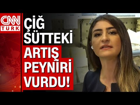 Peynir fiyatları neden artıyor?