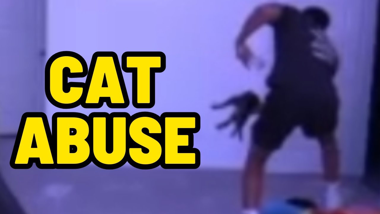 LowTierGod Throws His Cat Out Of His Room (Animal Abuse Warning) - YouTube