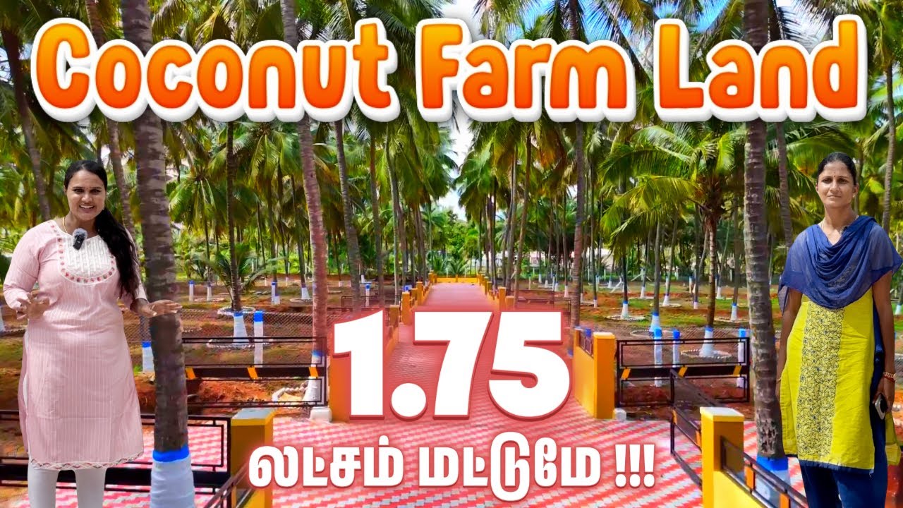 Farm land for sale in Coimbatore, Pollachi road | Coconut farms | Call ...