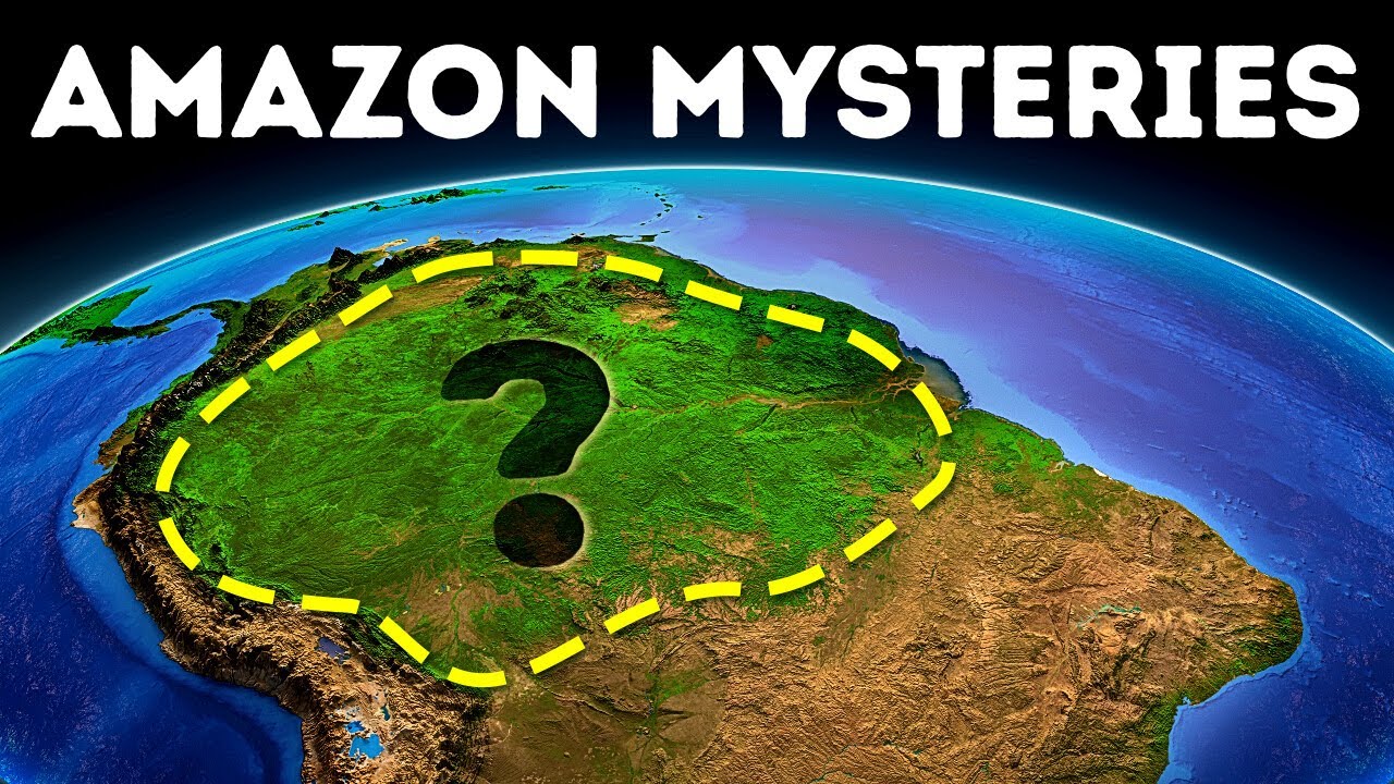 Ants Create Devil's Gardens in the Rainforest, And This Is Impressive ...