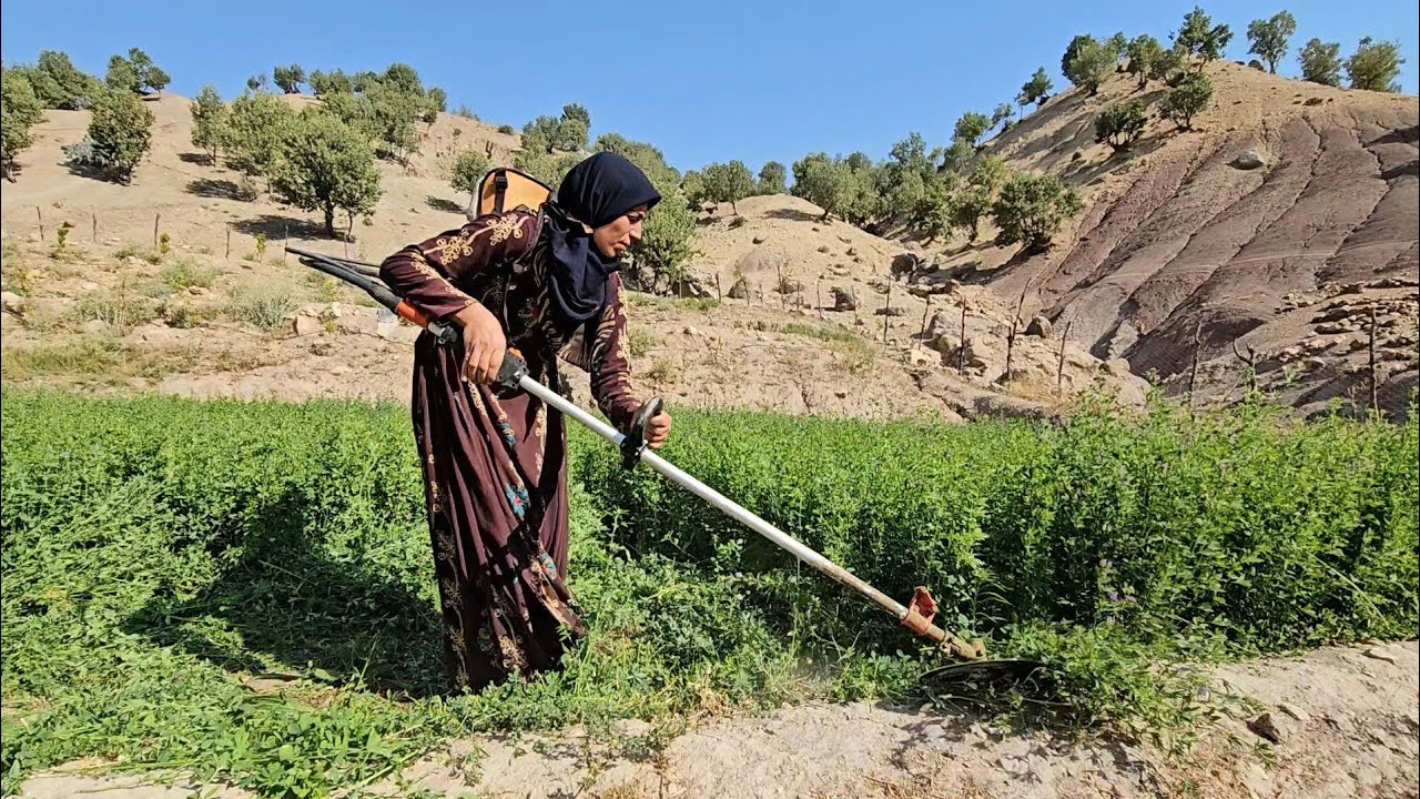 A big challenge for Nargis. Nargis tries not to allow ill-wishers to be ...