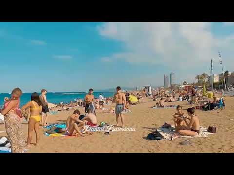 Para Bule Berjemur Di Pantai Barceloneta / Perjalanan Barcelona