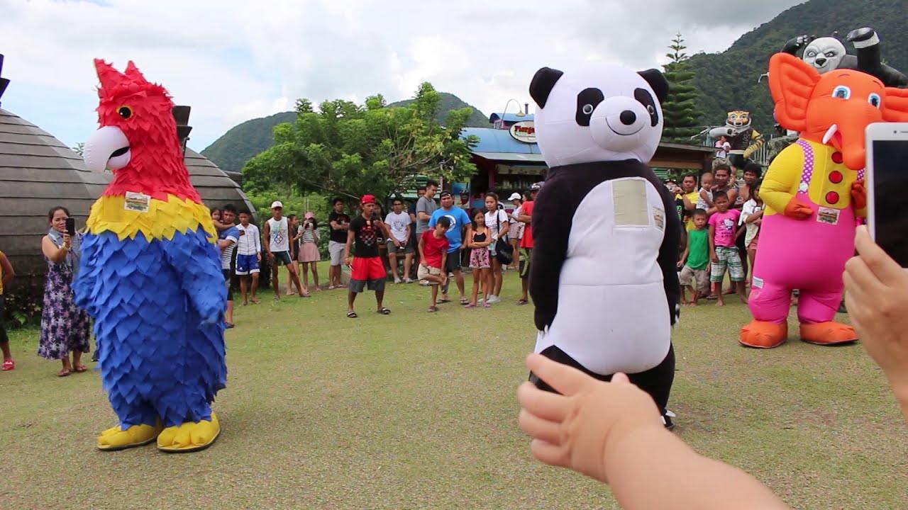 Having Fun with the Elephant, Chicken and Bear Mascot Dancing at ...