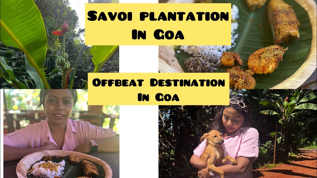 Savoi Plantation In Goa| Traditional Goan Thali in Goa| Best Fish Thali ...