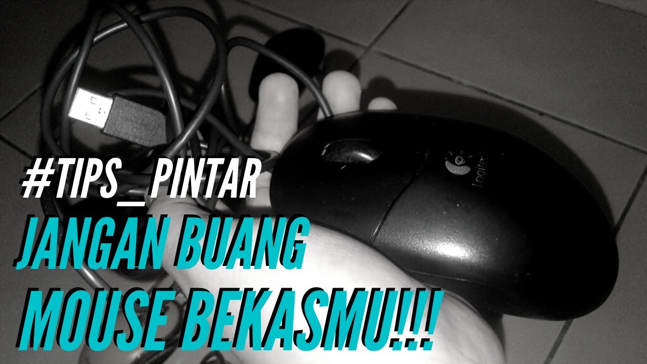 Komponen mouse bekas bisa jadi apa? Memanfaatkan Komponen Mouse Bekas ...