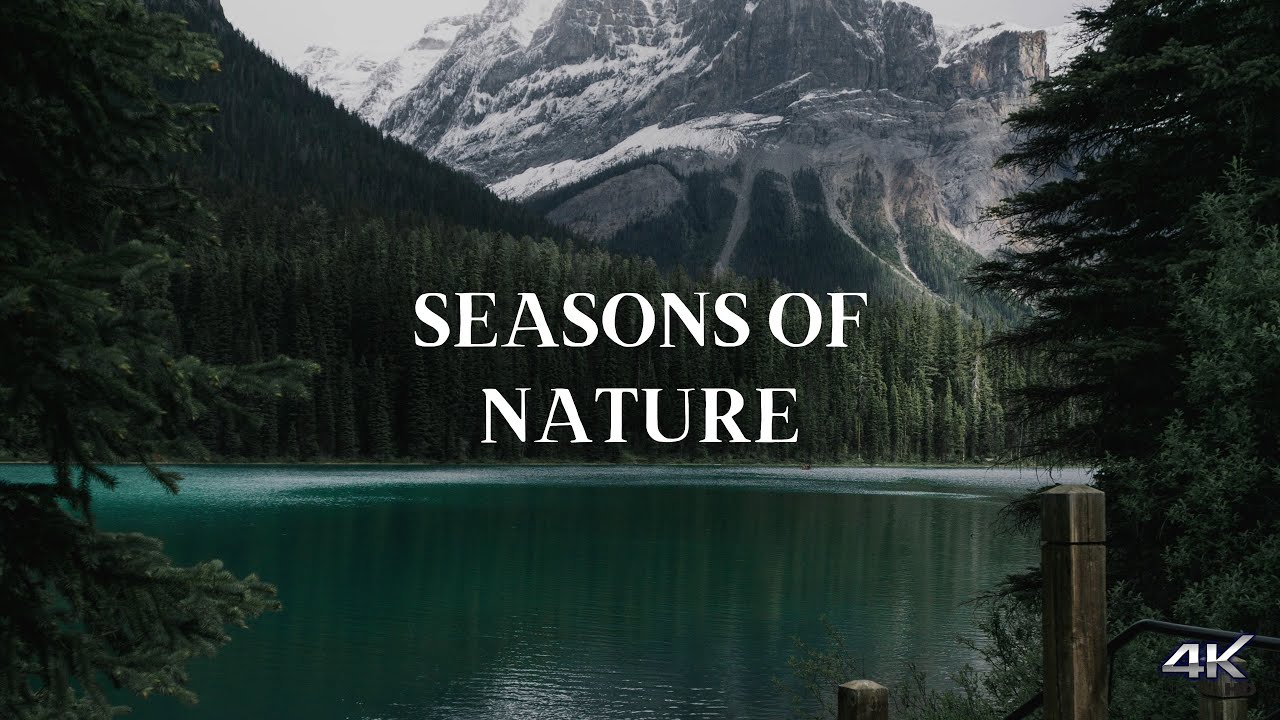 Nature Seasons - 4K Video UltraHD (UHD) Demo Test Seasonal Scenery ...