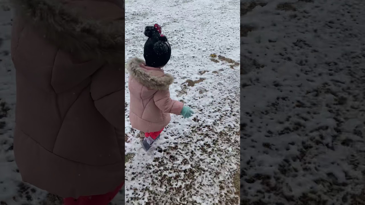 Snowing YouTube snowing-youtube