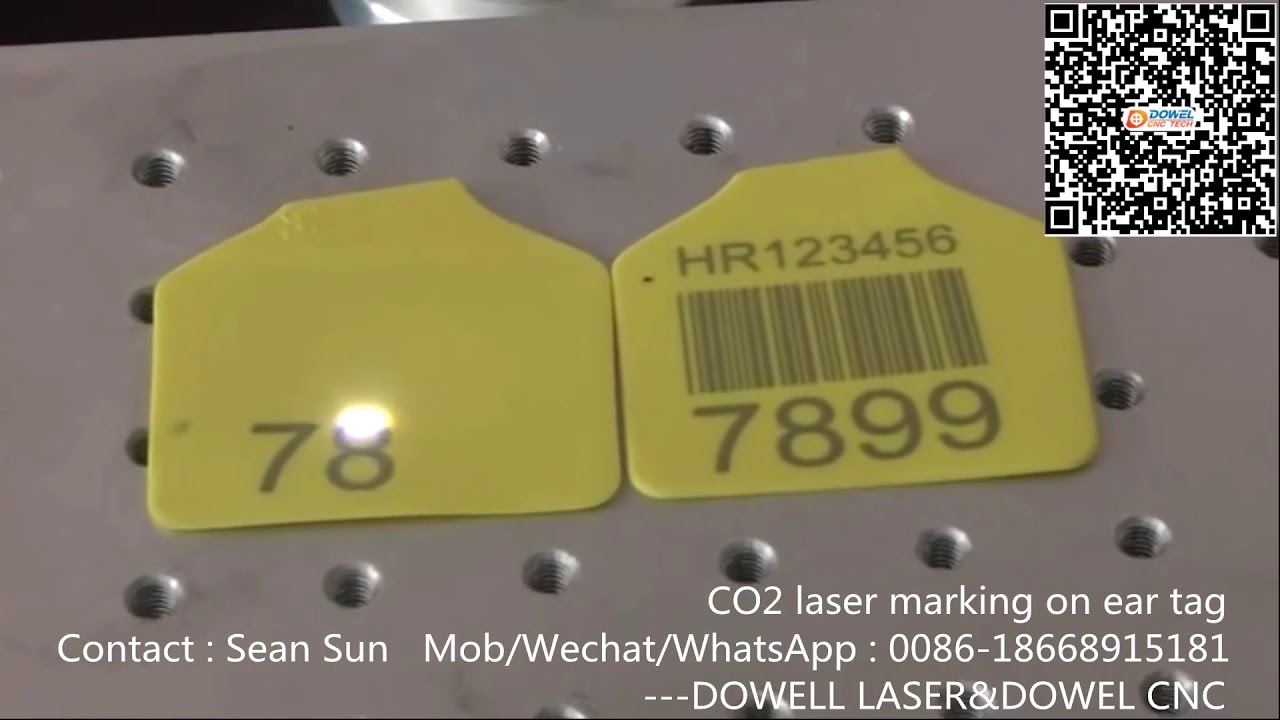 CO2 laser marking machine cutting fabric and marking ear tag - YouTube