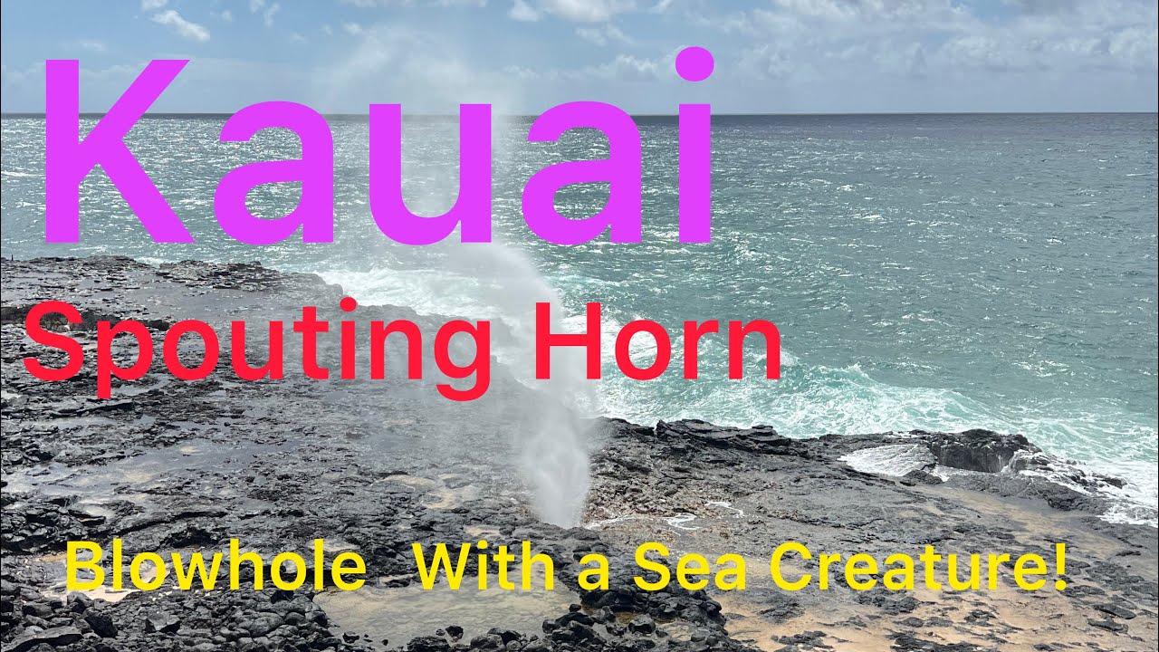 Kauai’s Spouting Horn State Park Blowhole - YouTube
