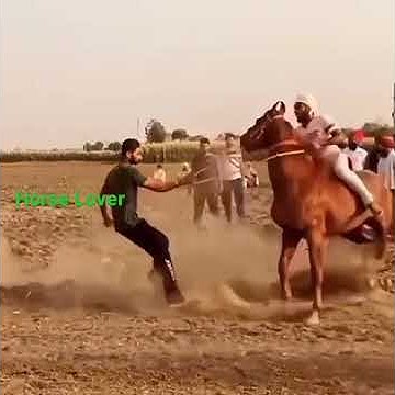 horse lover Horse riding # shorts - YouTube