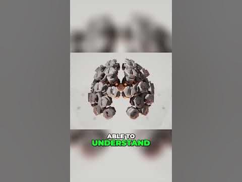 Revolutionize Understanding of the Brain with Kernel Flow - YouTube