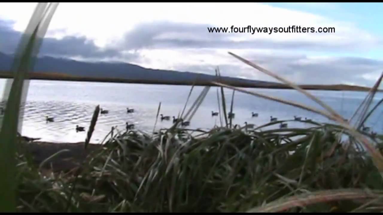 Oct. 2010 Black Brant, Canada Goose and Duck Hunt in Alaska - YouTube