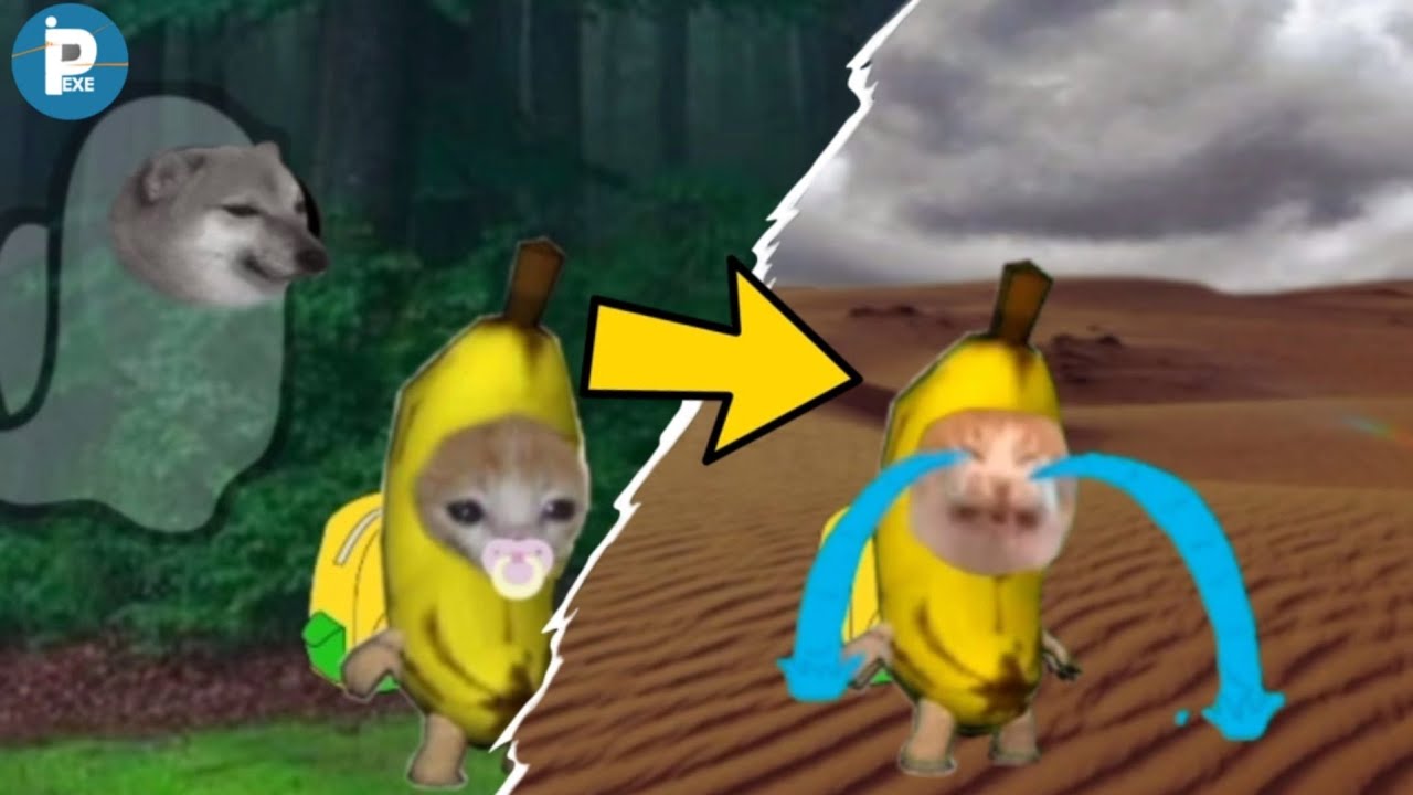 banana cat baby hiking - meme banana cat 🍌😺 - YouTube