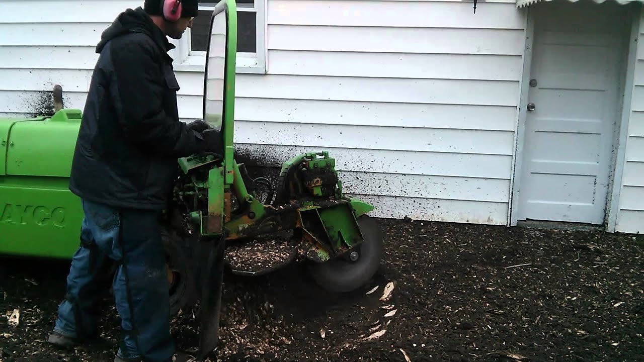 Jamie Steadman - YouTube