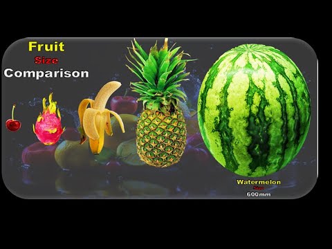 Fruit Size Comparison 🍉🥝 - See Who's The Biggest! Fruit Comparison ...