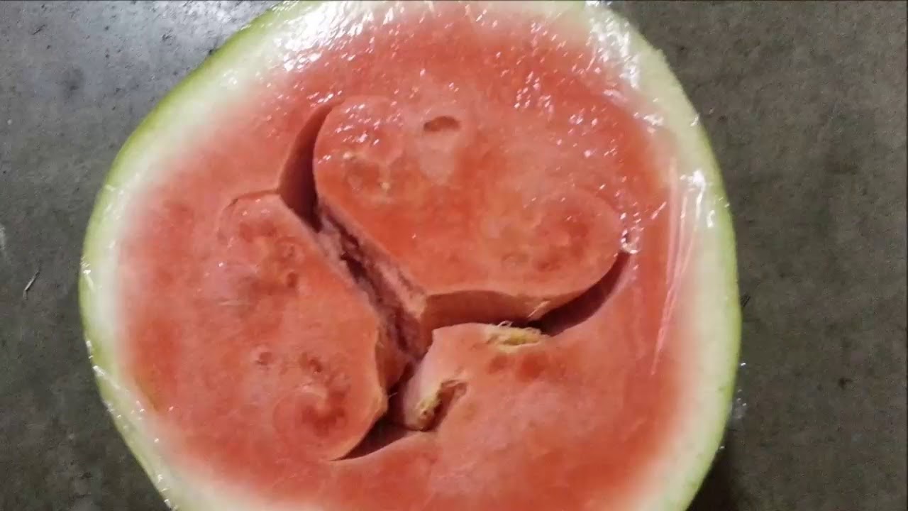 If you open a watermelon you find these CRACKS in it DO NOT EAT IT ...