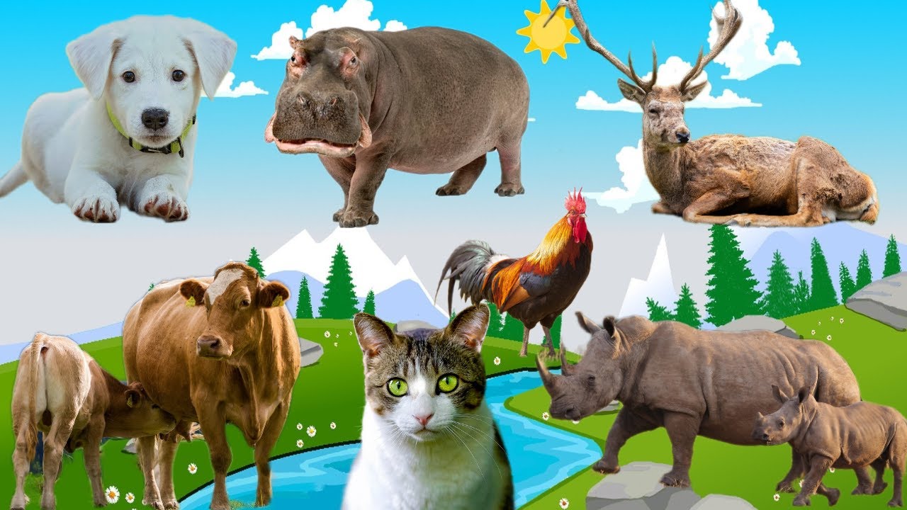 how cute and beautiful the sounds of farm animals, cows, giraffes ...