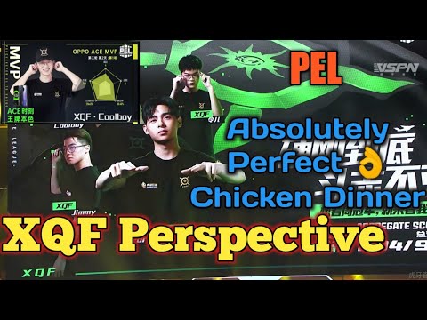 How XQF plays in PEL Tournament 2020?? • XQF Perspective Chicken Dinner Game•MVP Coolboy - YouTube